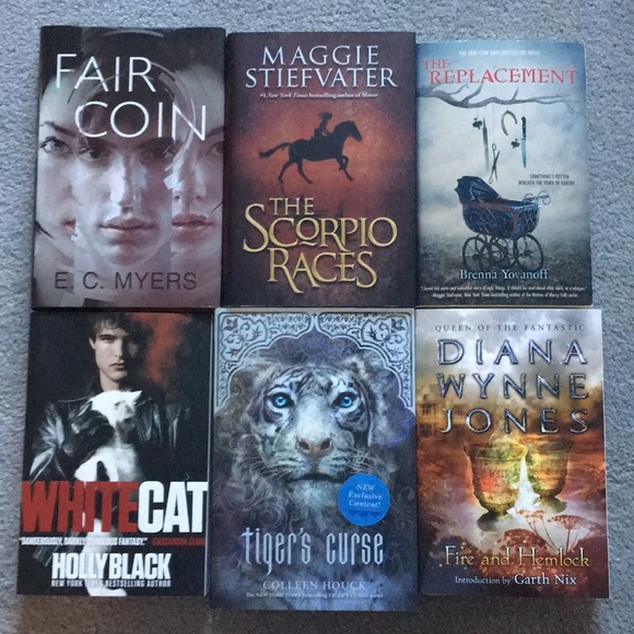 Other | Ya Fantasy Novels 6 Each | Poshmark